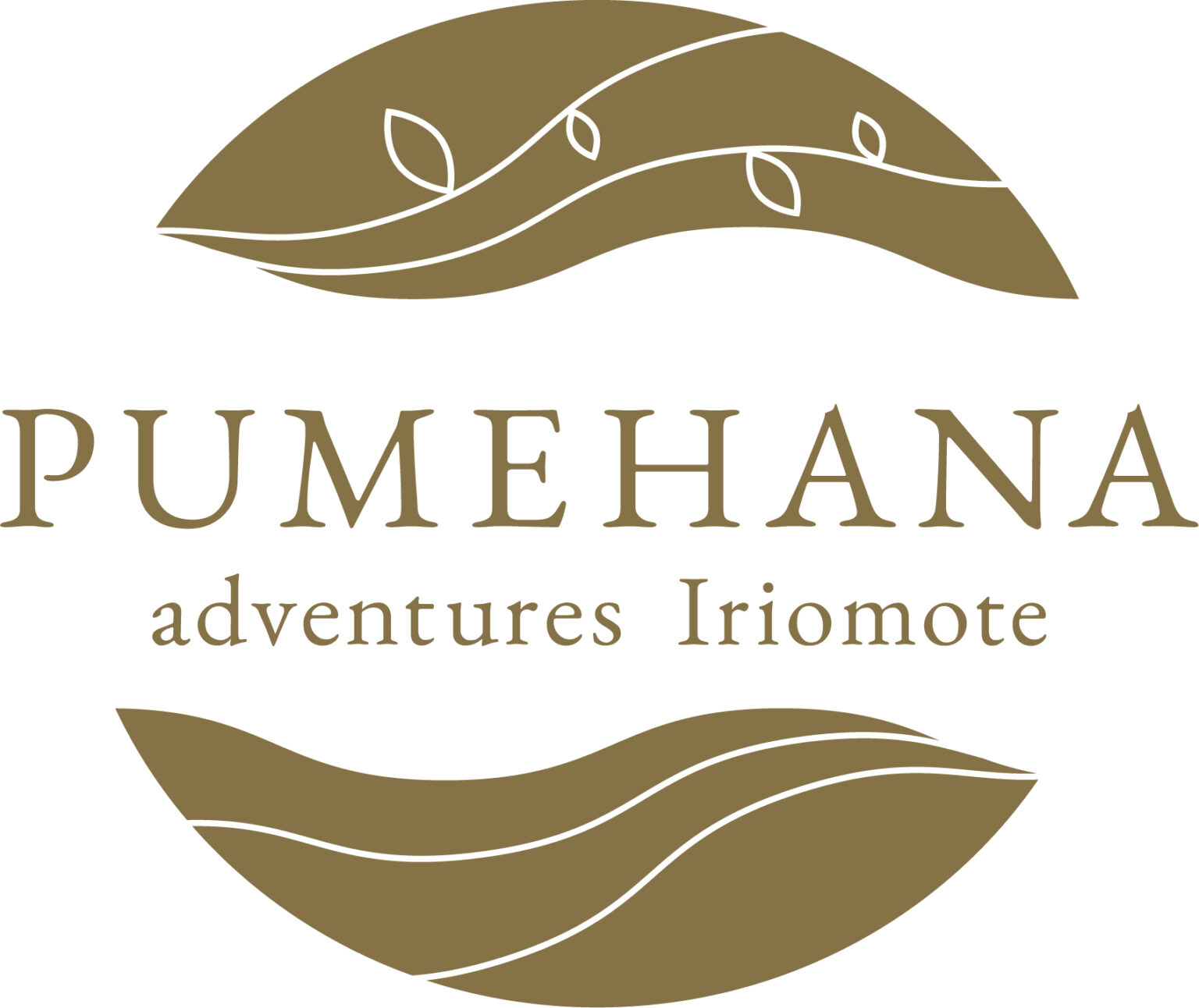 ブランドロゴ完成！ » PUMEHANA adventures 西表島